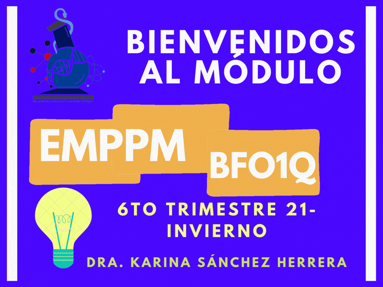 UAM: Todos los cursos